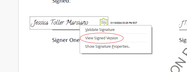 How can I see my document's SignatureHistory?