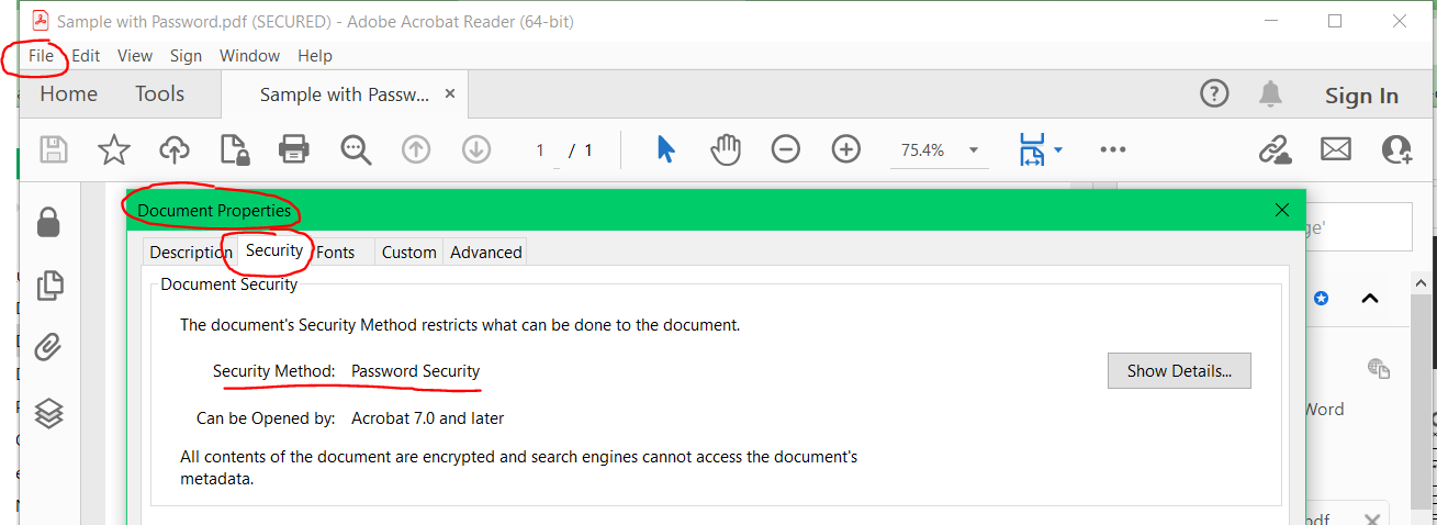 How to tell if a PDF is Password Protected